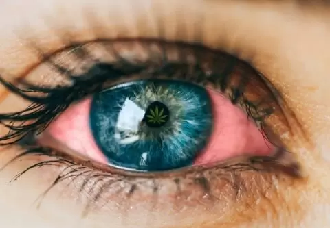 Common Side Effects of Smoking Weed - The Marijuana Consumer